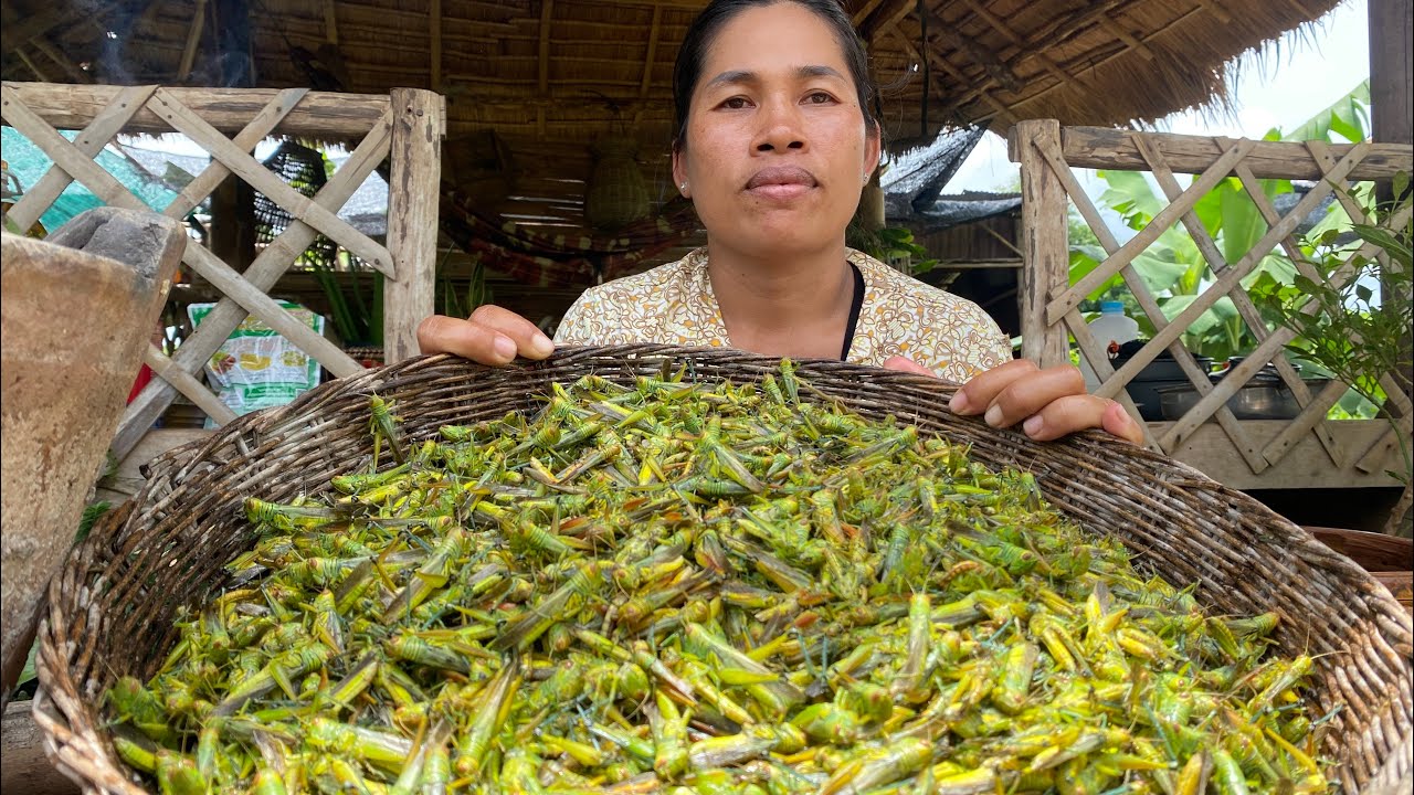 Country side cooking fried grasshoppers 3kg - YouTube