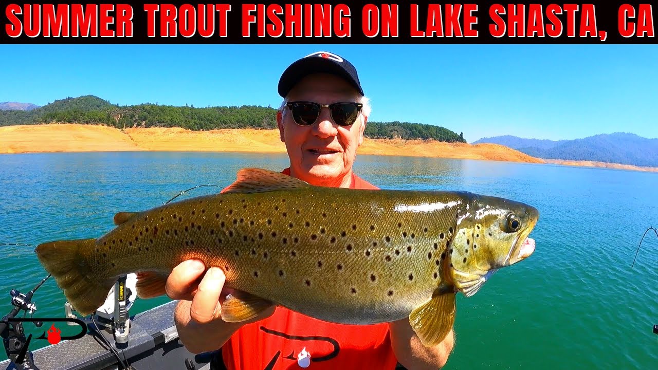 Lake Shasta Summer Trout Fishing - YouTube
