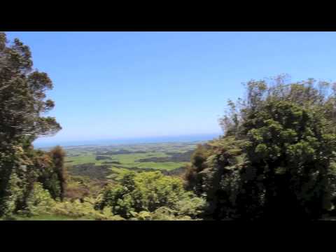 Pukeiti, Taranaki, New Zealand Nov 2013 - YouTube