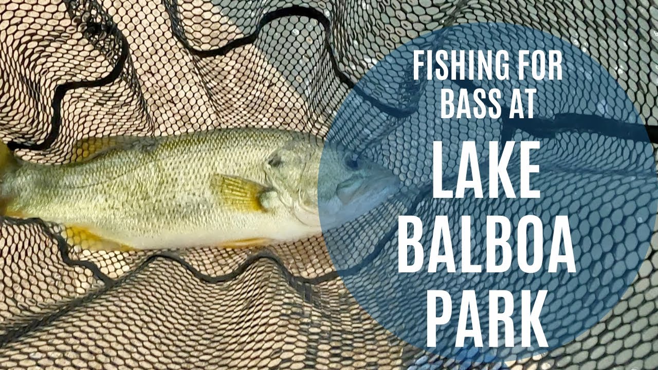 Fishing for Bass at Lake Balboa in Los Angeles | Oscar Unplugged Vlog ...