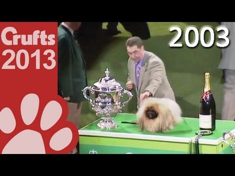 Best In Show 2003 | 30 Years of Best In Show | Crufts - YouTube