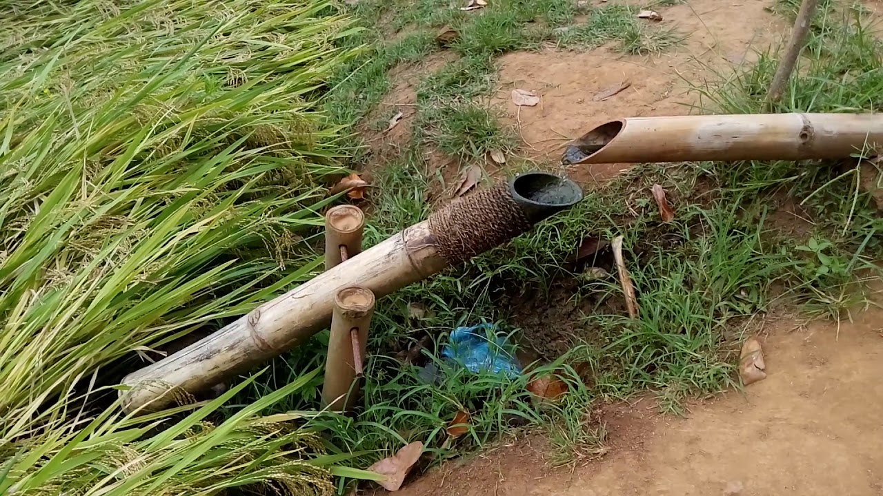 දිය හොල්මන - DIYA HOLMANA - YouTube