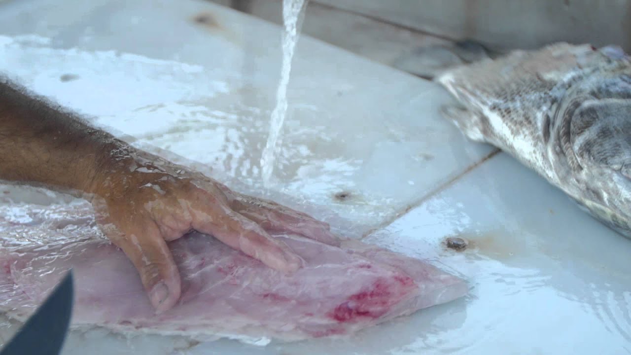How fillet triple tail with Captain Scott Lum - YouTube