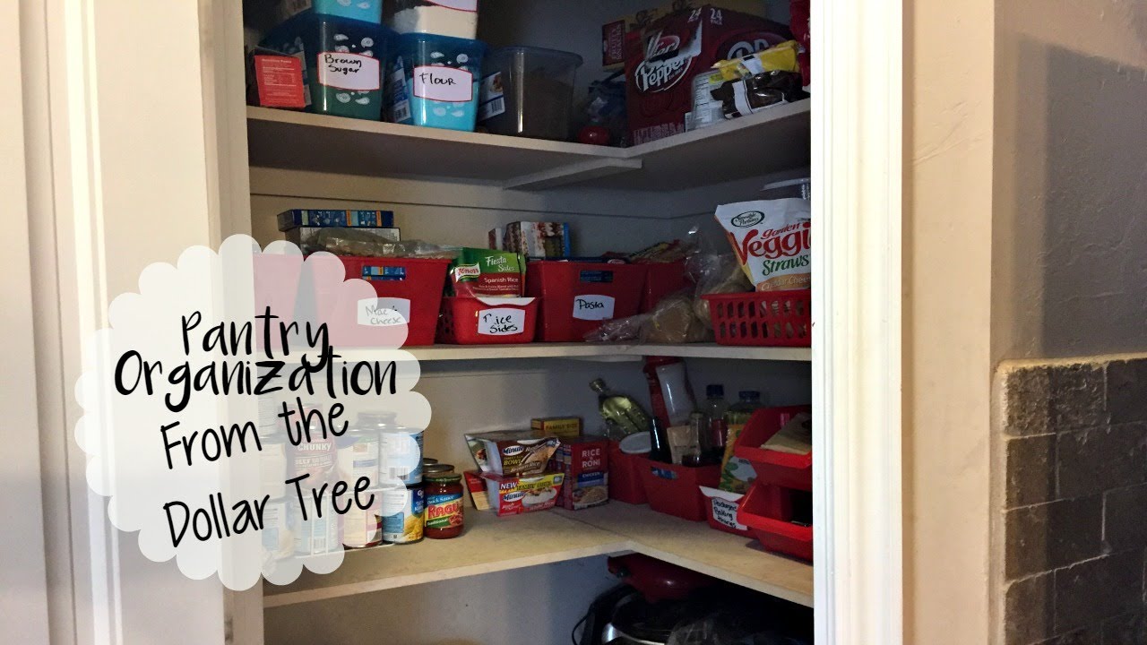 PANTRY ORGANIZATION IDEAS || DOLLAR TREE BINS - YouTube