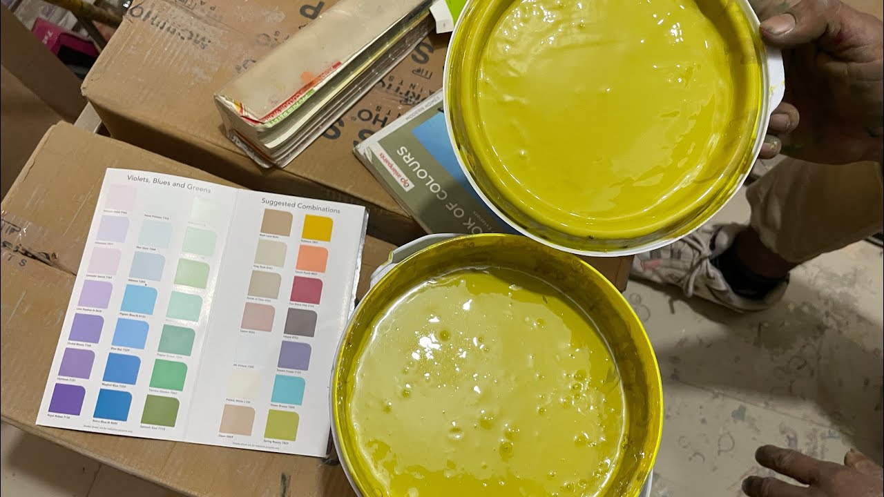ACE wall colour | spring beauty colour | wall colour combination shade ...