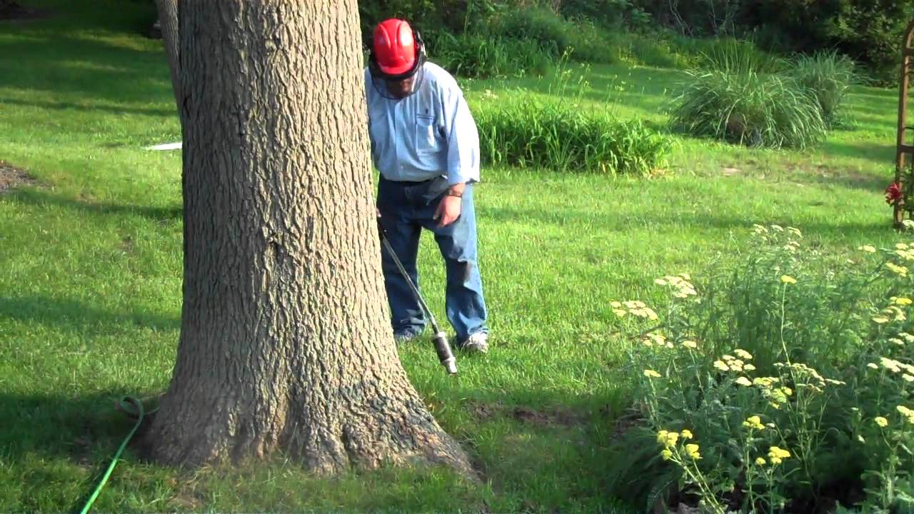 The Moleinator in Action 2 - YouTube