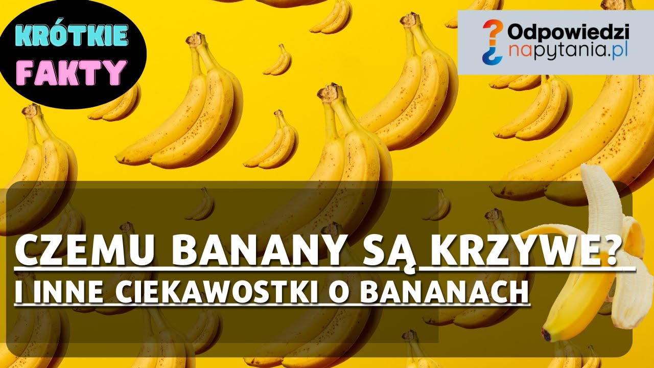 Czemu Banany S Krzywe Ile Kalorii Ma Banan I Inne Ciekawostki czemu-banany-s-krzywe-ile-kalorii-ma-banan-i-inne-ciekawostki