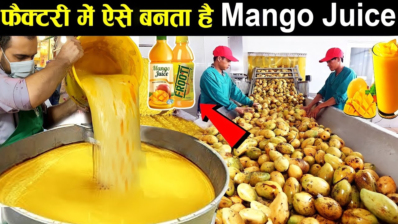 फैक्ट्री में MANGO Juice कैसे बनता है? How Mango juice is produced in a ...