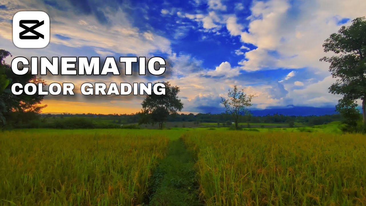 CapCut Cinematic Color Grading Tutorial | How to do color grading in ...