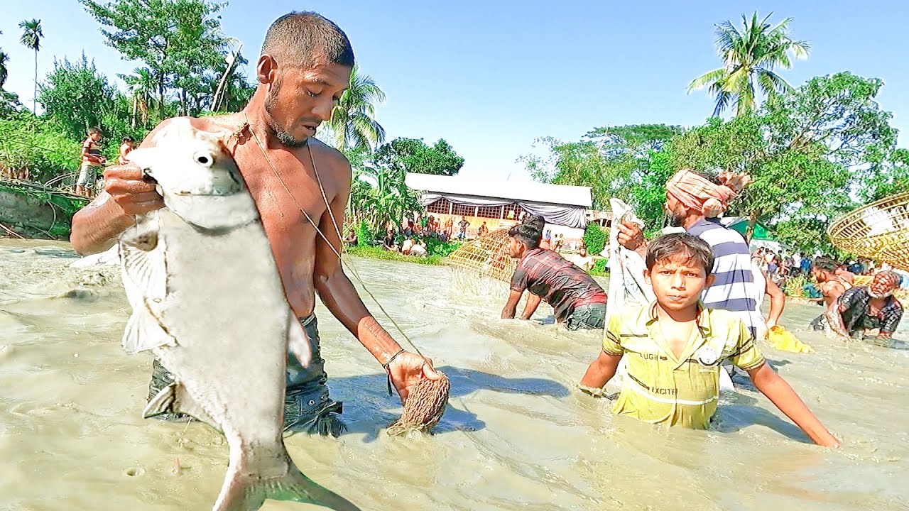Really Amazing Traditional Fish Hunting Festival and Best Fishing in ...