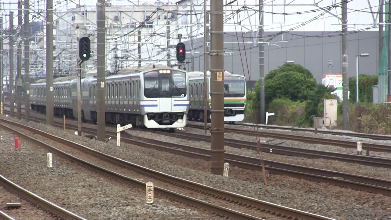 JR東日本 E217系横須賀線・E231系+E233系上野東京ライン（東海道線）の併走 - YouTube