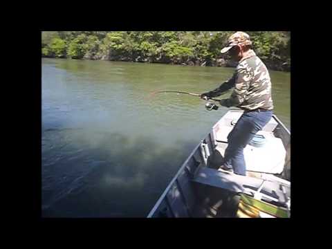 Pescaria de Cachara no Rio Manito - Marcelandia-MT - YouTube