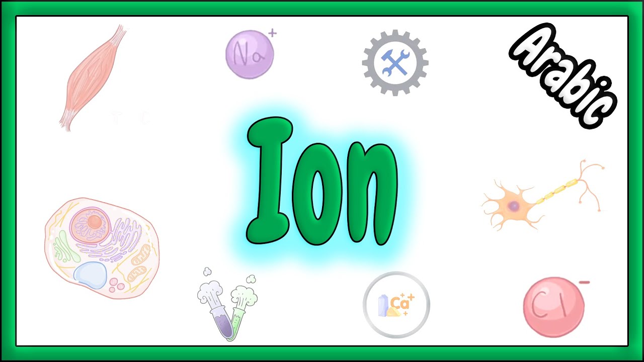 3. Basic Components of Cell || Ion or Electrolyte || عربي - YouTube