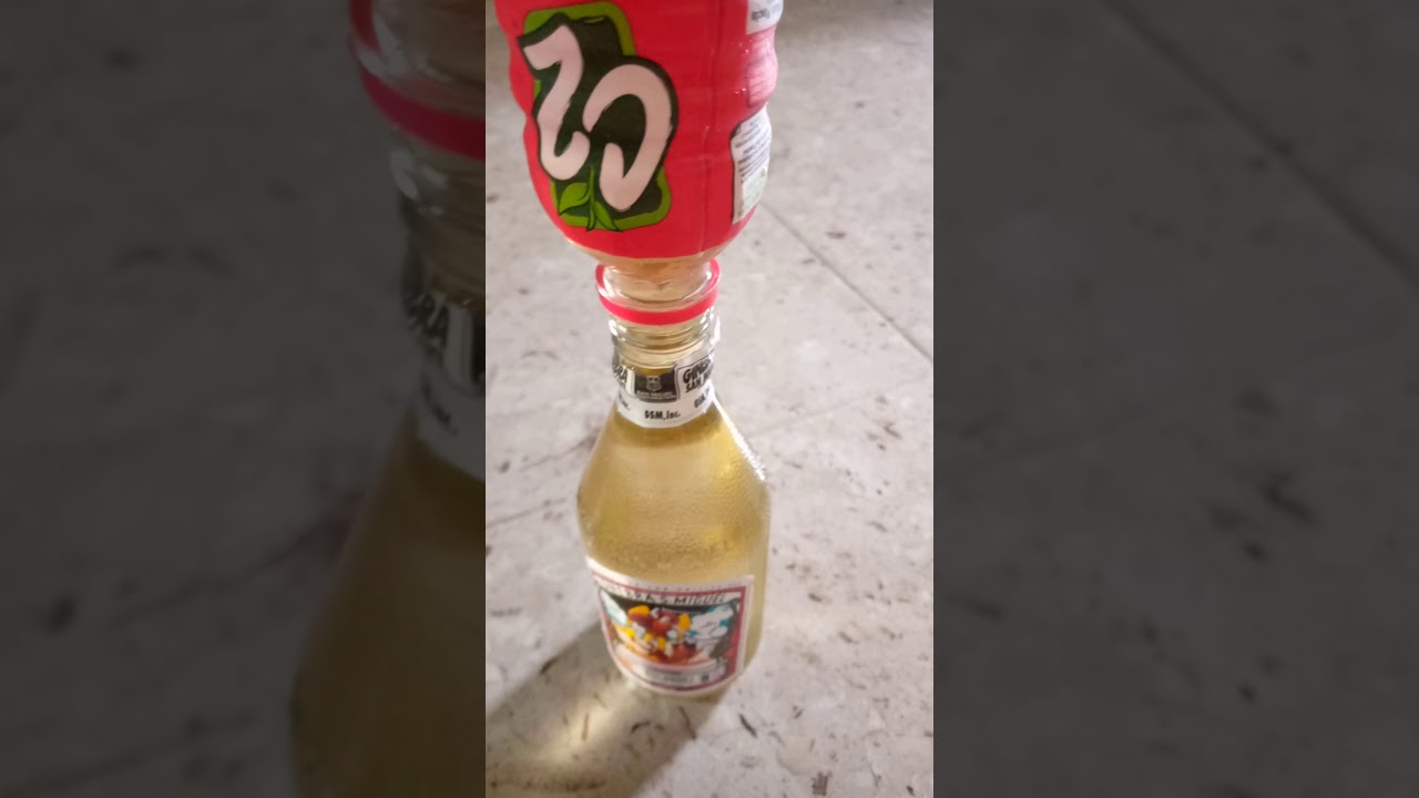 GiN C2. Mex🥰🥰 - YouTube