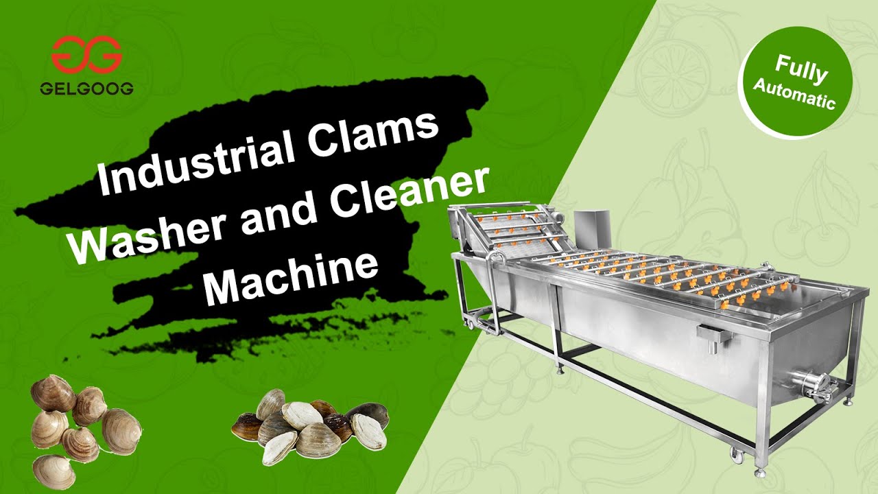 Industrial Clams Washing and Cleaning Machine/Stainless Steel Clams ...