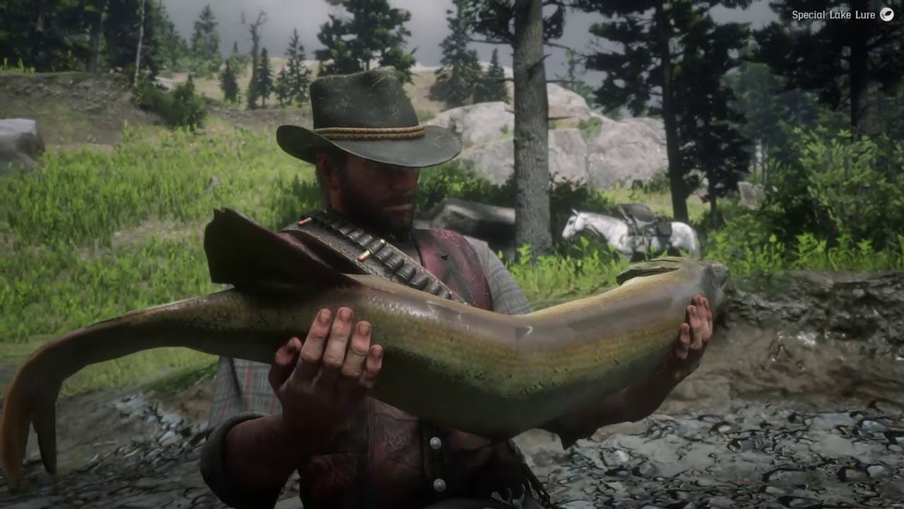 You, sir, are a fish - YouTube