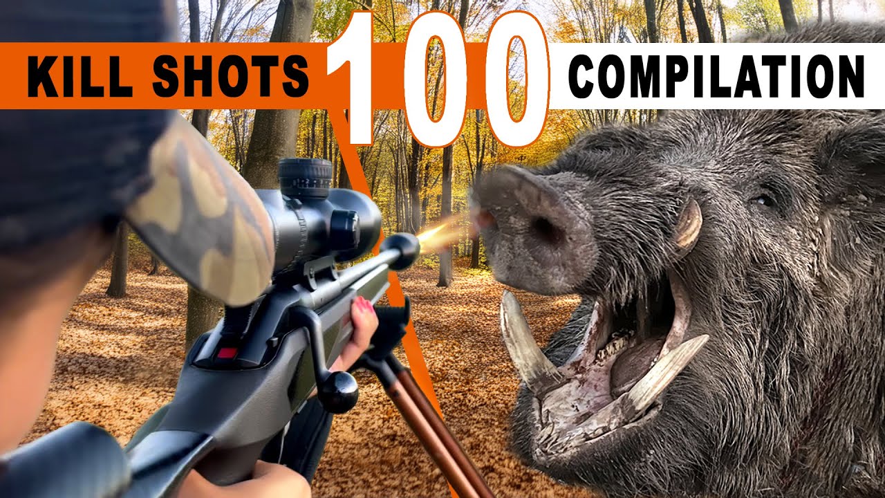 100 Kill Shot Compilation - 2024 - YouTube