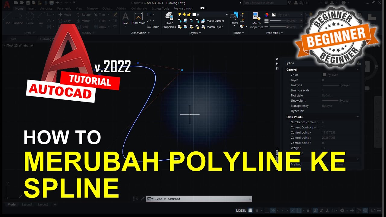 AutoCAD Cara Merubah Polyline Ke Spline - YouTube