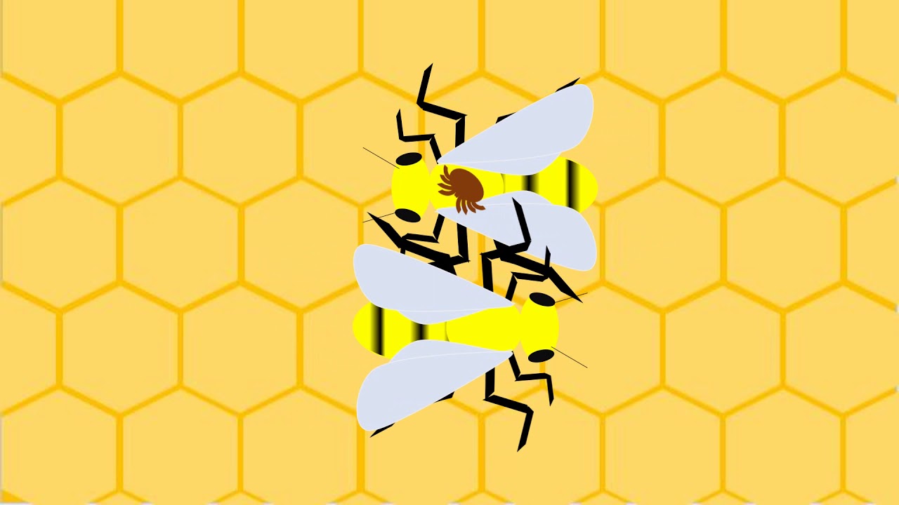 Life Cycle of the Varroa Mite - YouTube