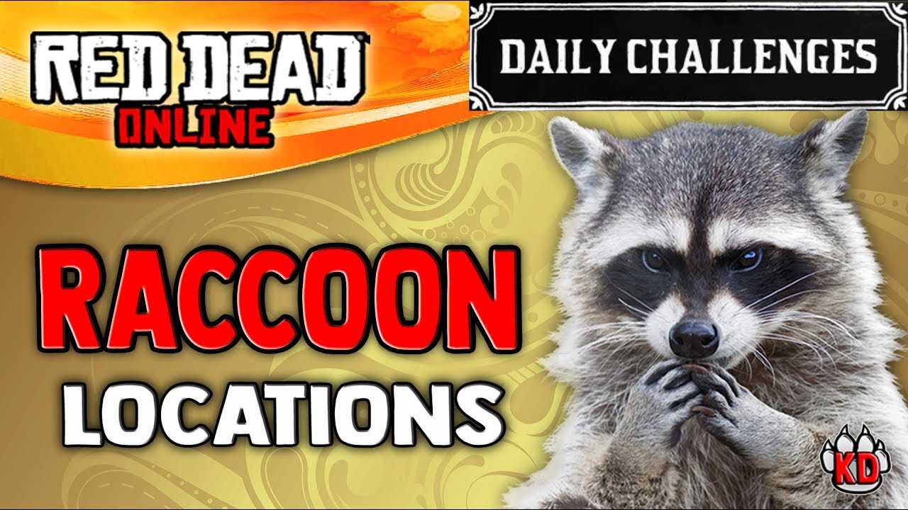 Red Dead Online - Raccoon Location - RDR2 Daily Challenge North ...