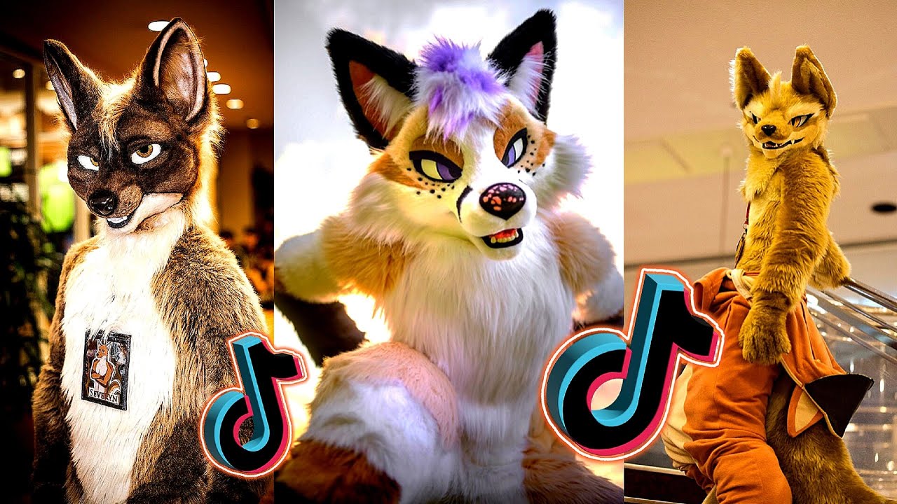 Furry Memes - Dino Mask TikToks Compilation # - YouTube