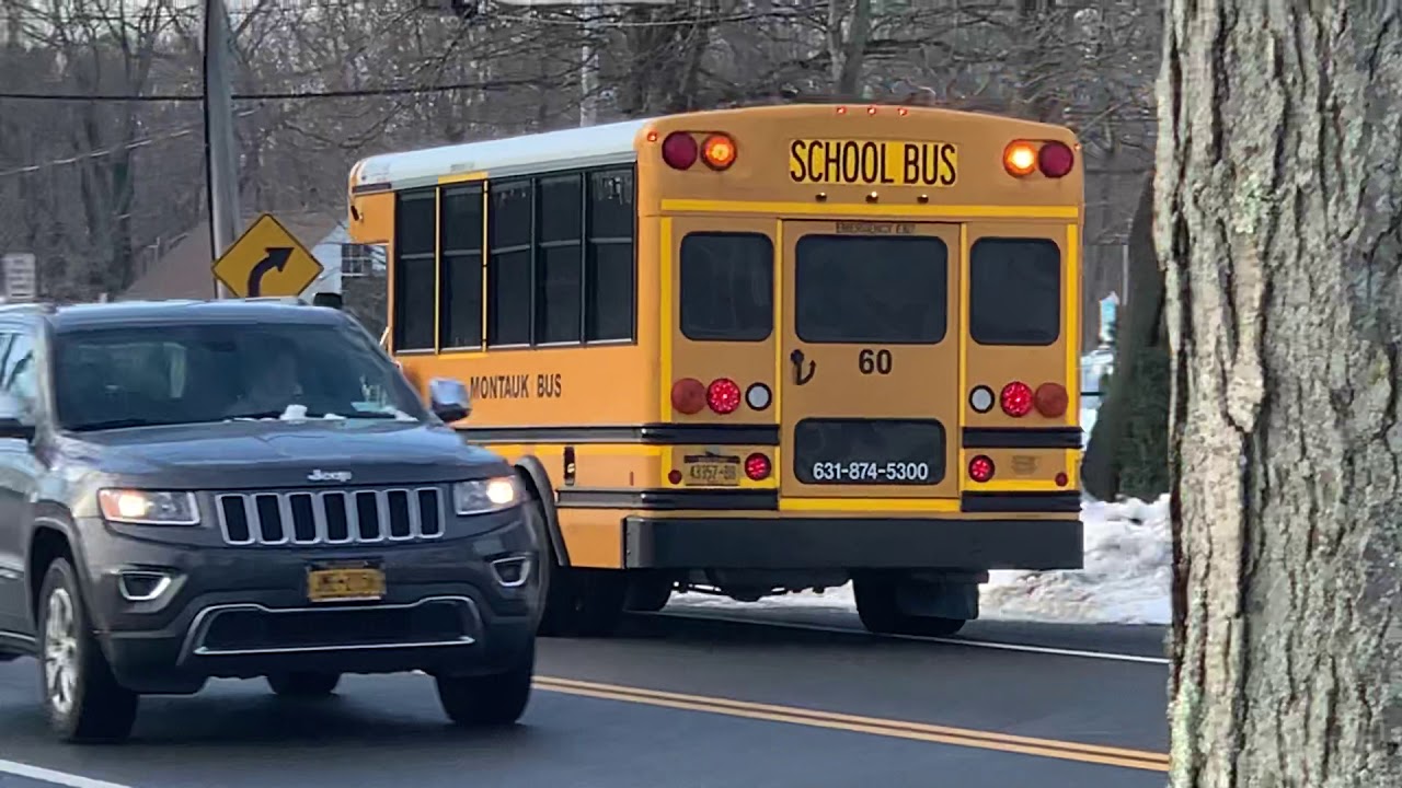 Bus 60: 2017 Ford Collins (Triton V10) - YouTube