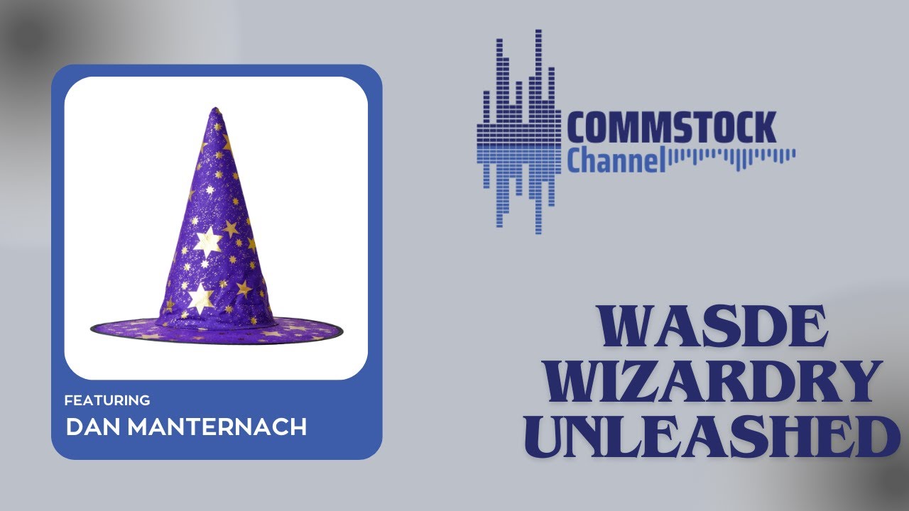 WASDE Wizardry Unleashed - YouTube
