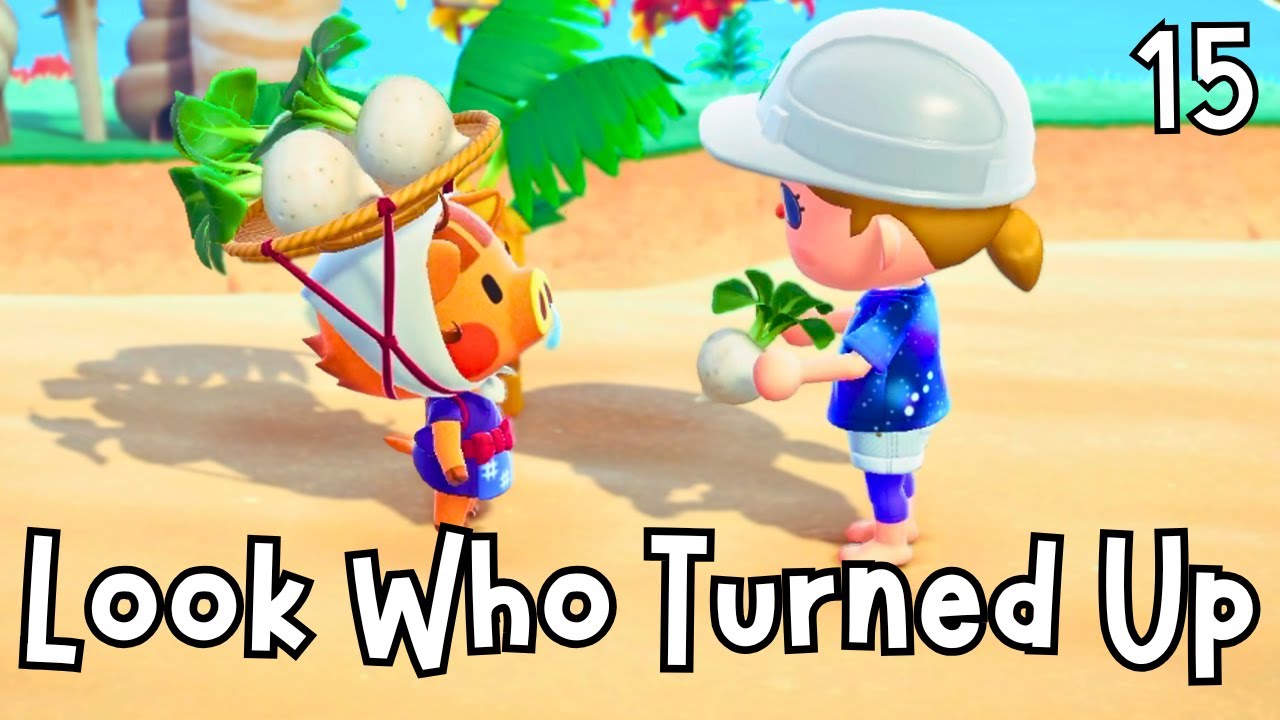Day 15 - I Designed an Animal Crossing Island with Zero Updates in 30 ...