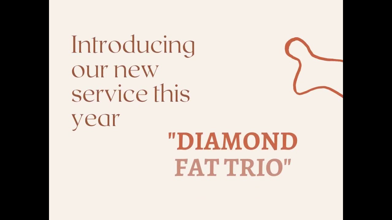 Diamond Fat Trio - YouTube