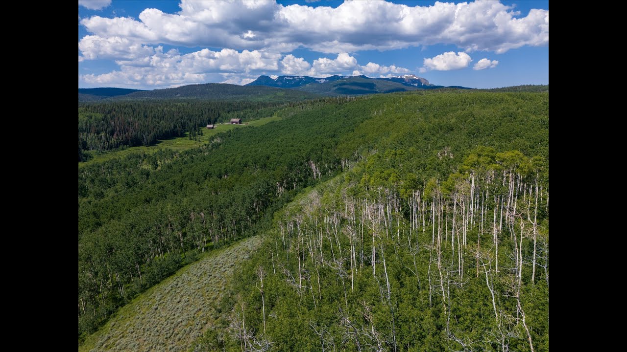 Five Pines Mesa - YouTube