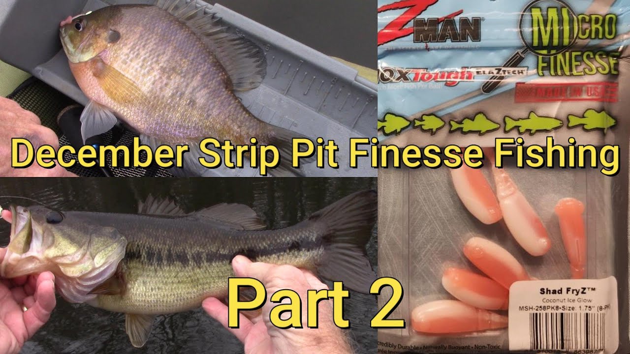 Strip Pit Finesse Fishing Part 2 - Z-Man 1.75" Shad FryZ - YouTube