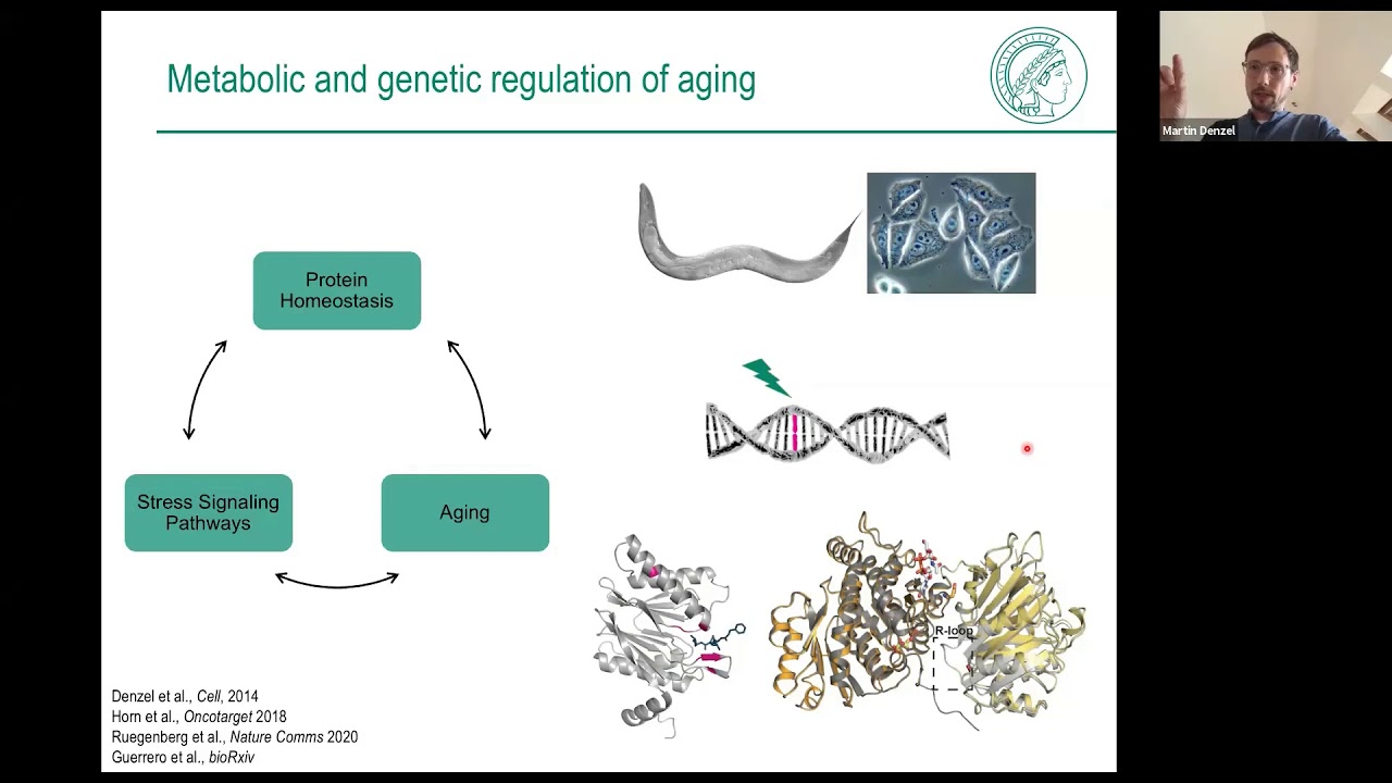ICSA/yICSA Webinar Series - Dr Martin Denzel - YouTube