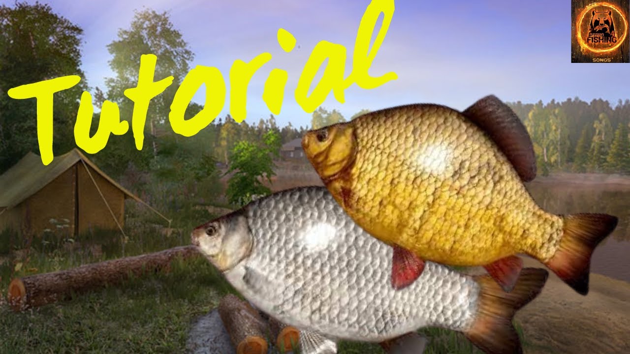 RUSSIAN FISHING 4 TUTORIAL "MOSQUITO LAKE" - YouTube