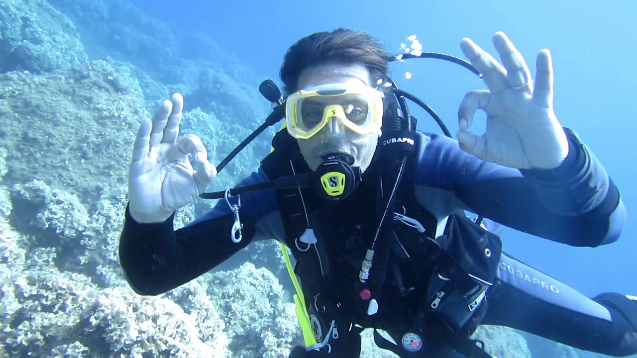 Sub Now 2017 !!! - YouTube