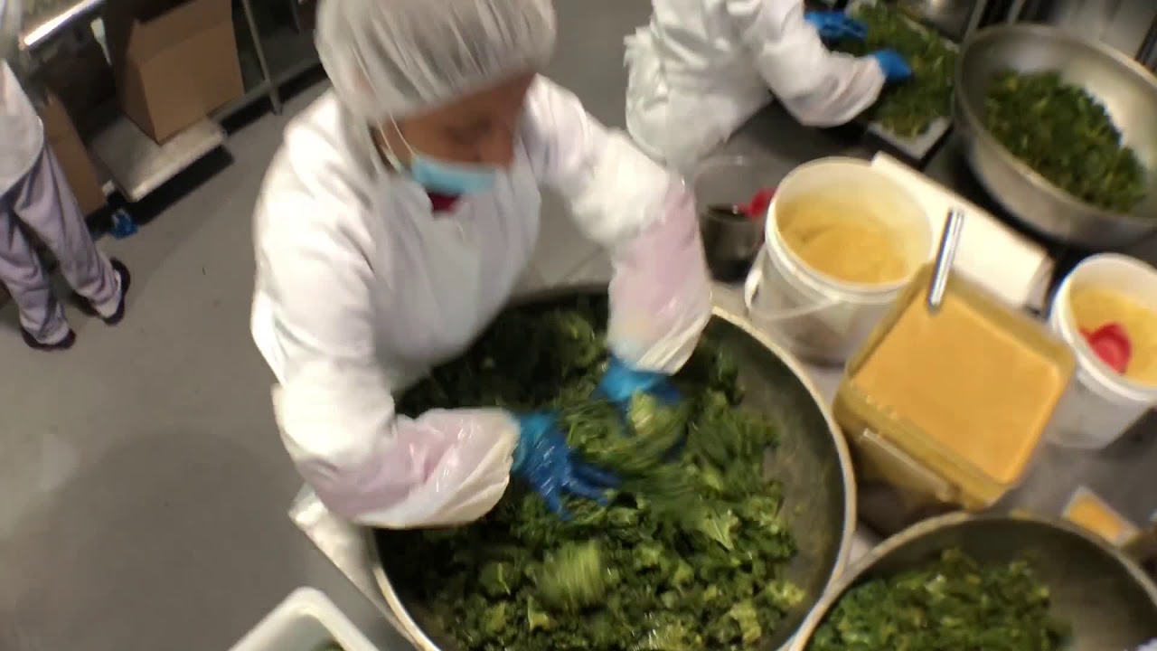 Marcus Antebi: Making Kale Chips at Juice Press with The Founder - YouTube