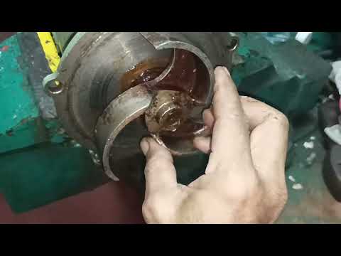 Cara melepas IMPELLER pompa siput