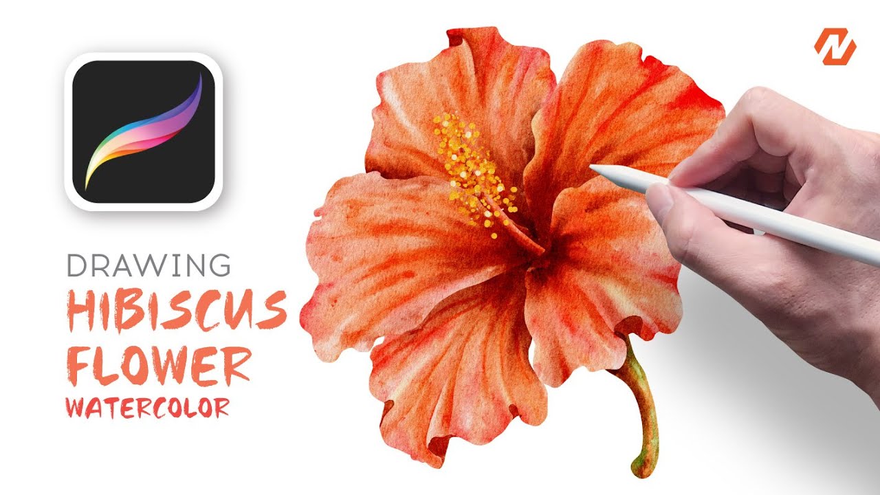 Drawing HIBISCUS Flower Watercolor with Procreate #procreate #drawing # ...