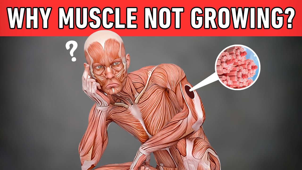 Reasons Why Your Muscles Are NOT Growing And How To Fix It - YouTube
