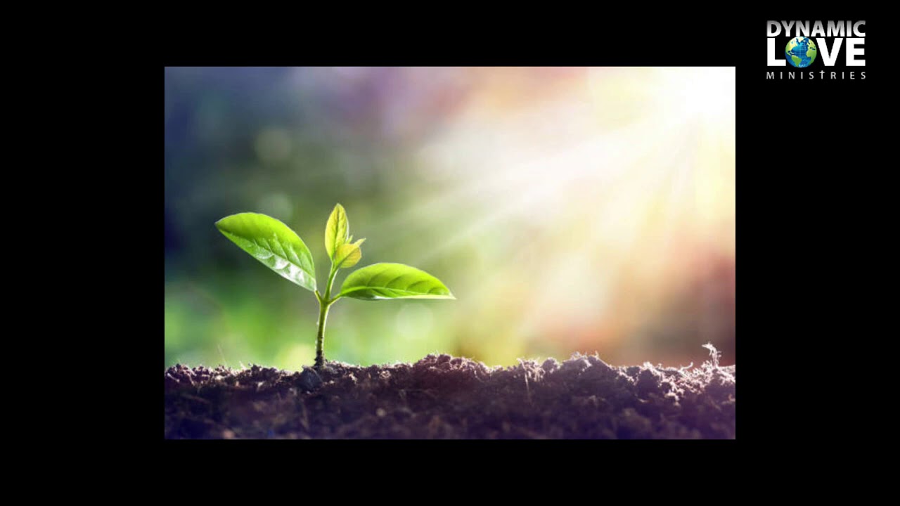 Groei in die Genade van God en dra so God se vrug 720p - YouTube