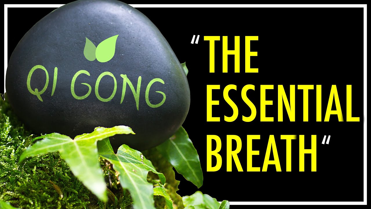 "The Essential Breath" | Qigong Standing Exercises | theSITREP - YouTube