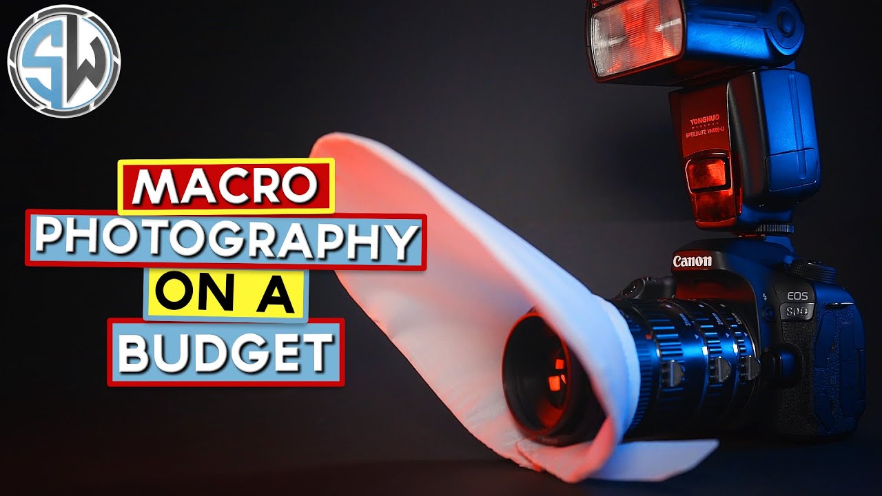 Macro Photography on a Budget - YouTube