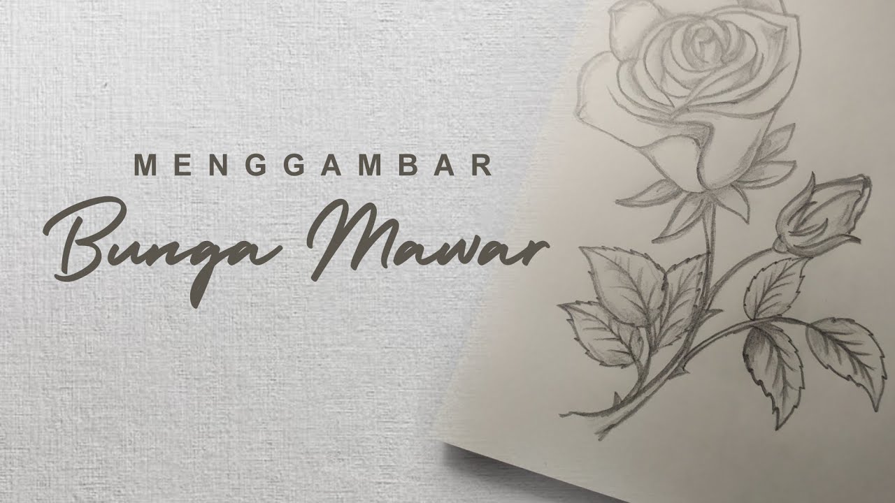 Menggambar bunga mawar | dengan pensil #drawing #menggambar - YouTube