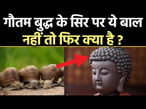 Story Of Buddha Hair | Buddha's HairMystery and Facts. - YouTube
