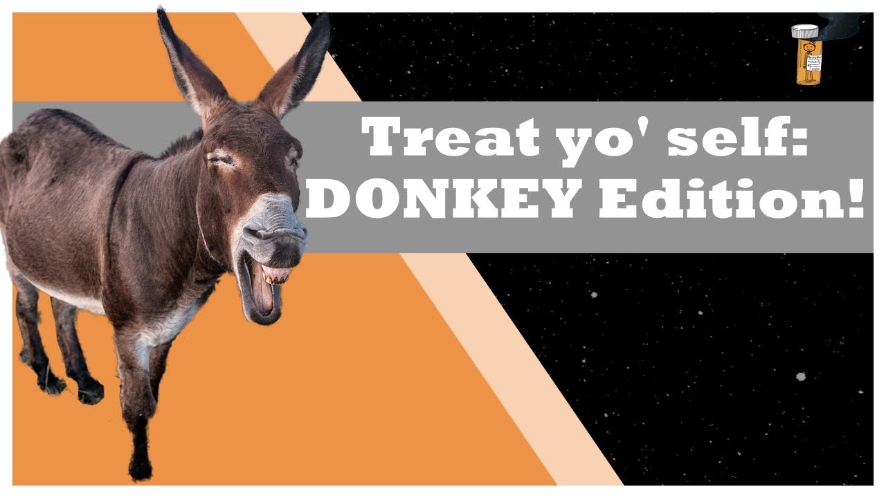 Treat Yo' Self: Donkey Edition AskReddit - YouTube