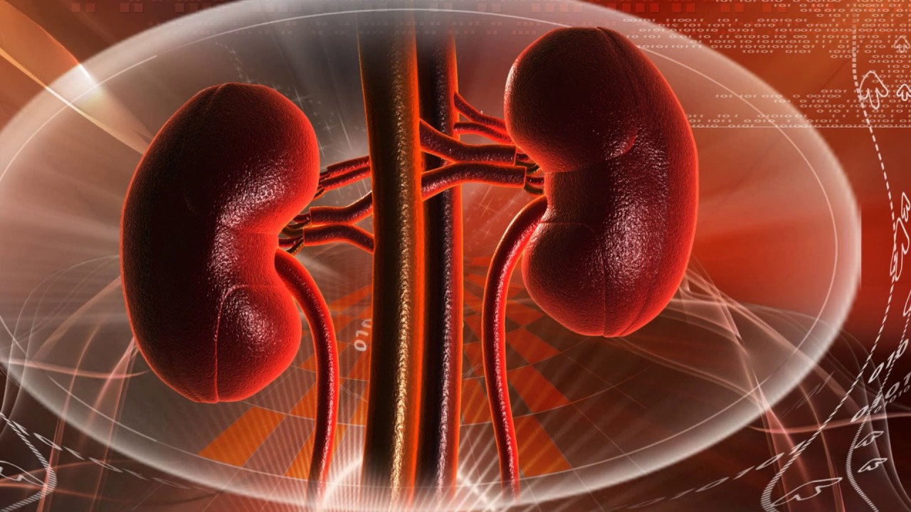 Reprost Capsules in Kannada - ರೀಪ್ರೊಸ್ಟ್ ಕ್ಯಾಪ್ಸುಲ್ ಉಪಯೋಗಗಳು ಮತ್ತು ...