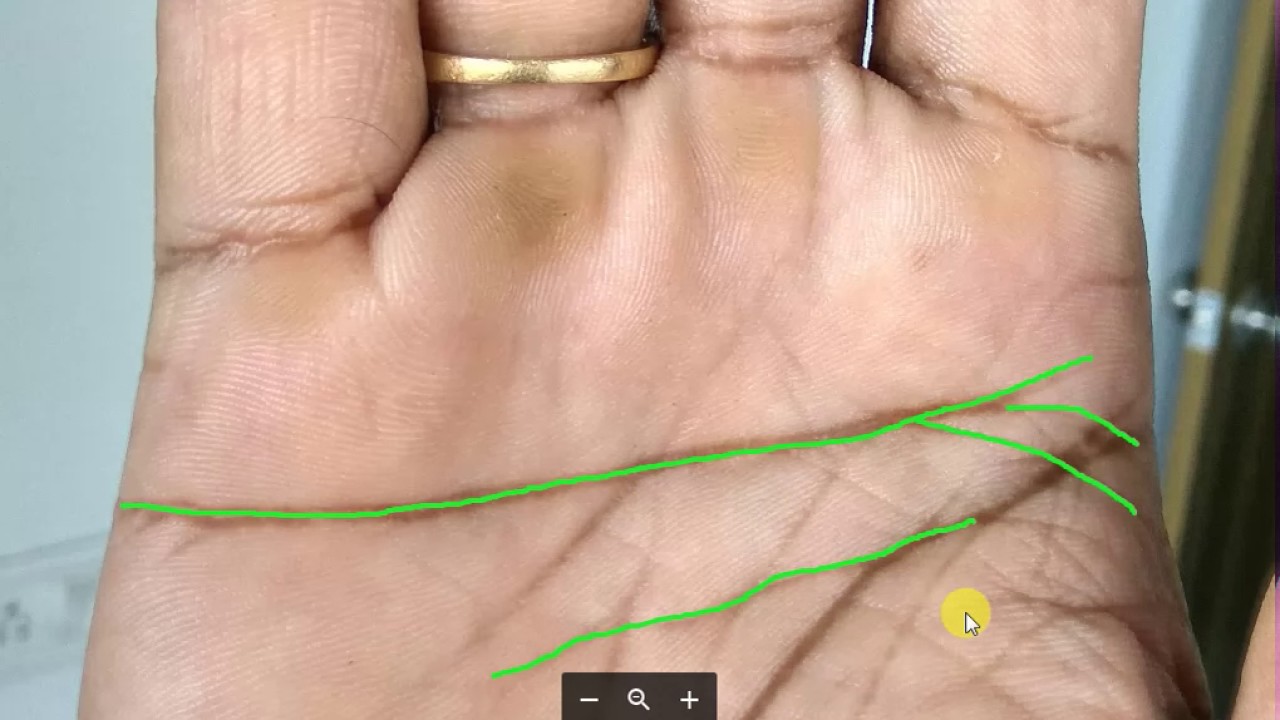 SIMIAN LINE EXPLAINED Lawrence Rook