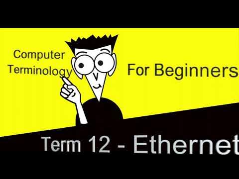 Computer Terms for Beginners: Term 12 - Ethernet - YouTube