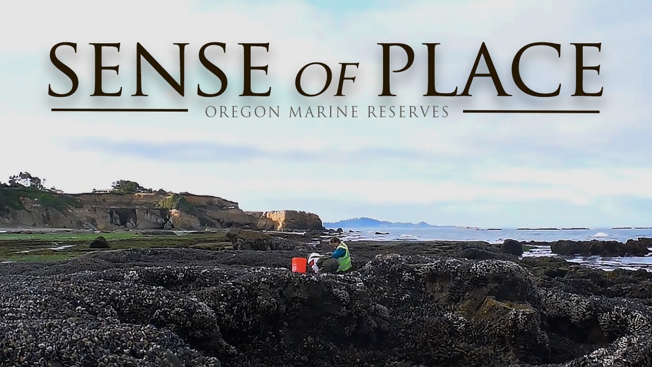 Sense of Place - YouTube