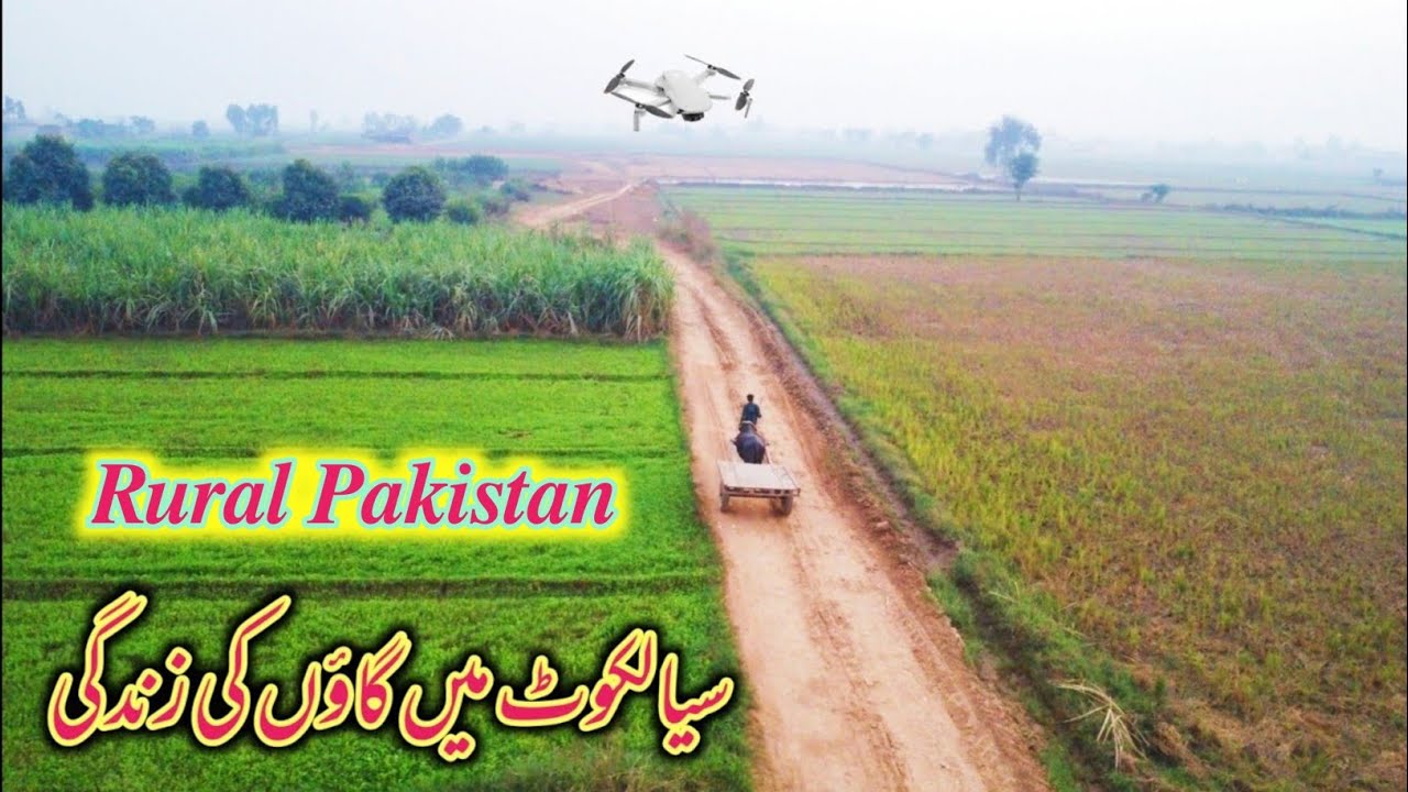 Village Life in Sialkot Pakistan | Rural Pakistan - YouTube