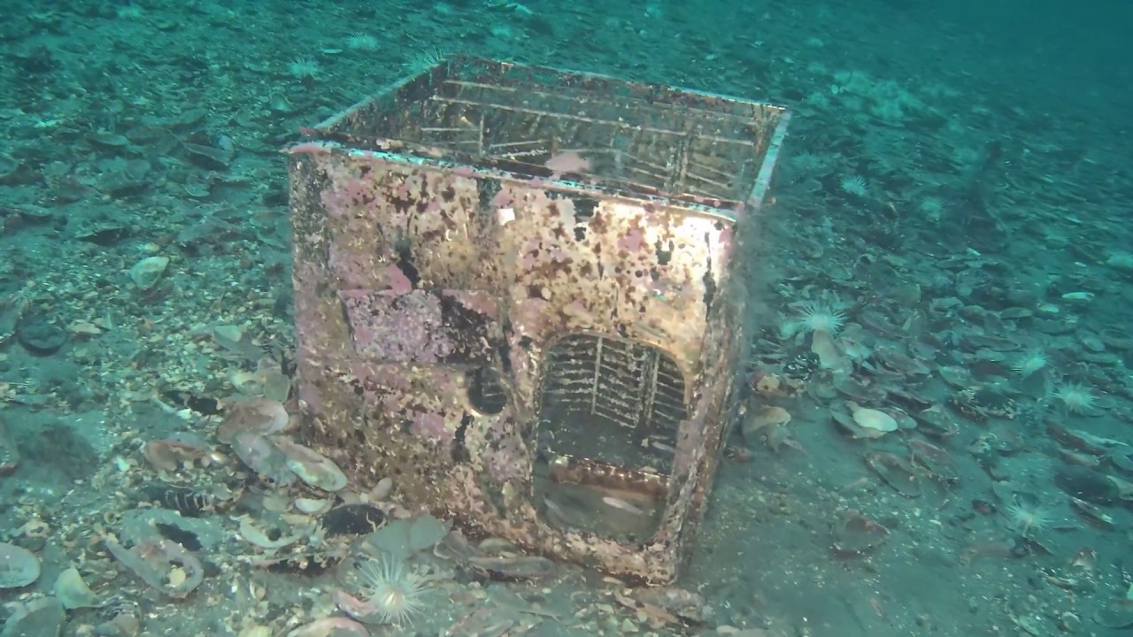 Gladius Mini 20 meters deep in the Hardangerfjord - YouTube